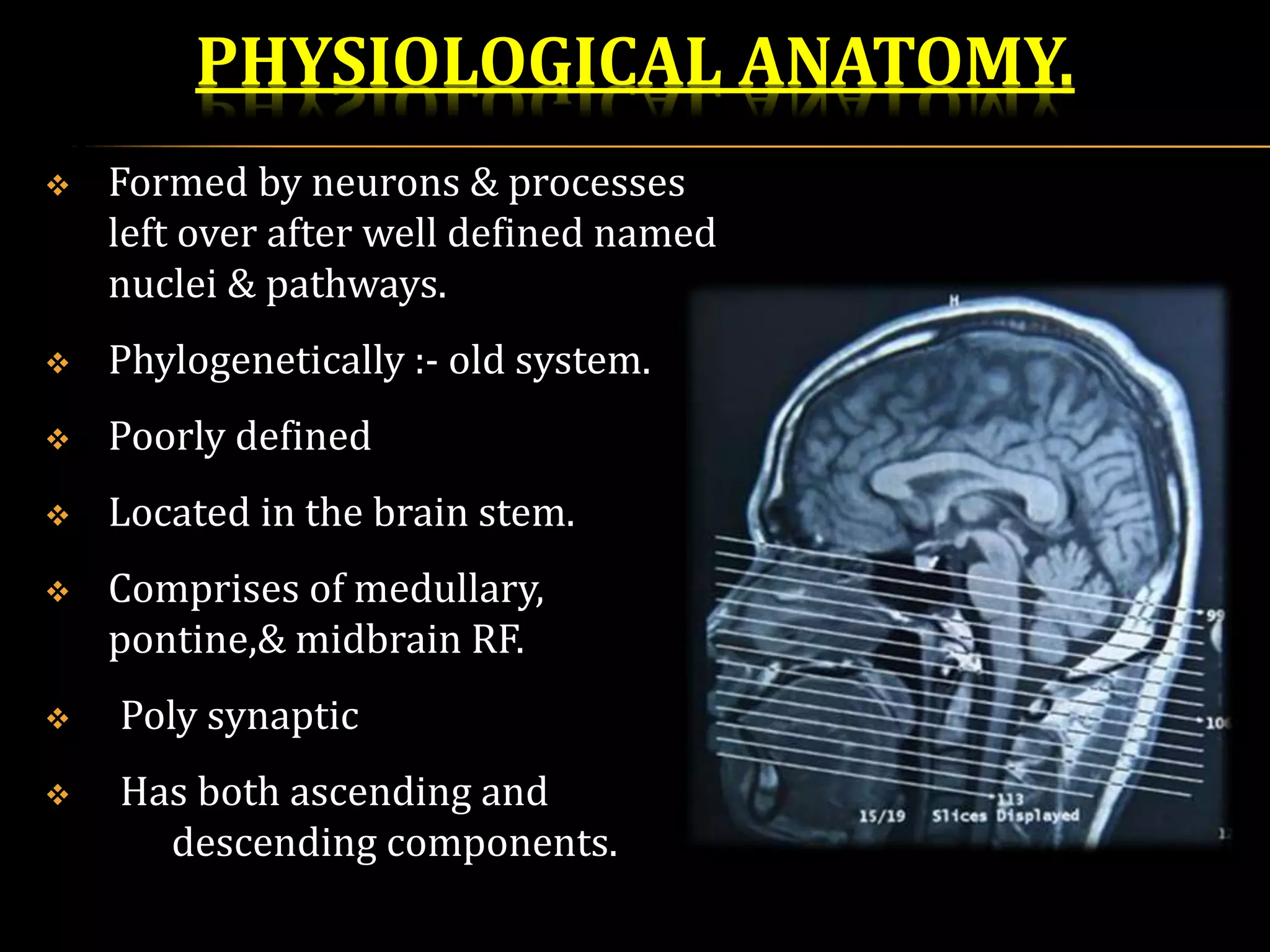Reticular formation | PPTX