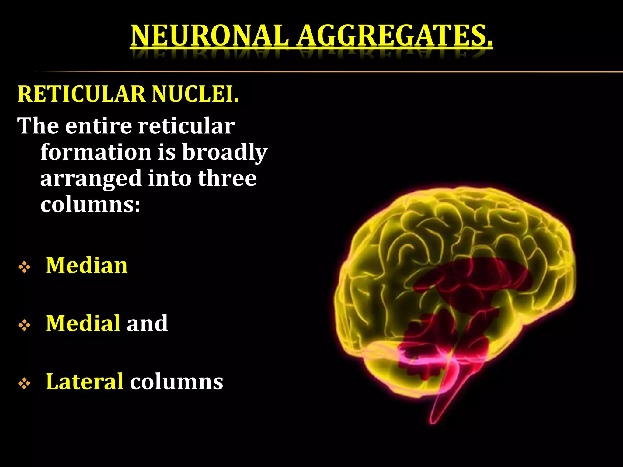 Reticular formation | PPTX