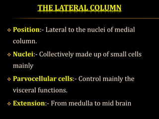 Reticular formation | PPTX