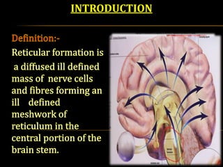 Parts Of The Brain Reticular Formation