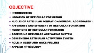 Reticularformation | PPTX