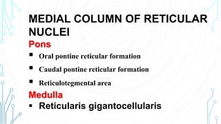 Reticularformation | PPTX