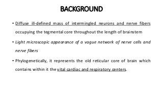 Reticular formation.pptx