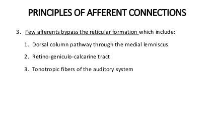 Reticular formation.pptx