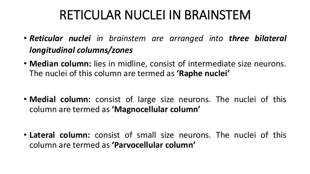 Reticular formation.pptx