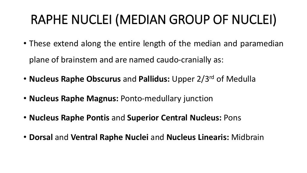 Reticular formation.pptx
