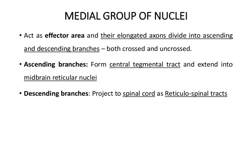 Reticular formation.pptx