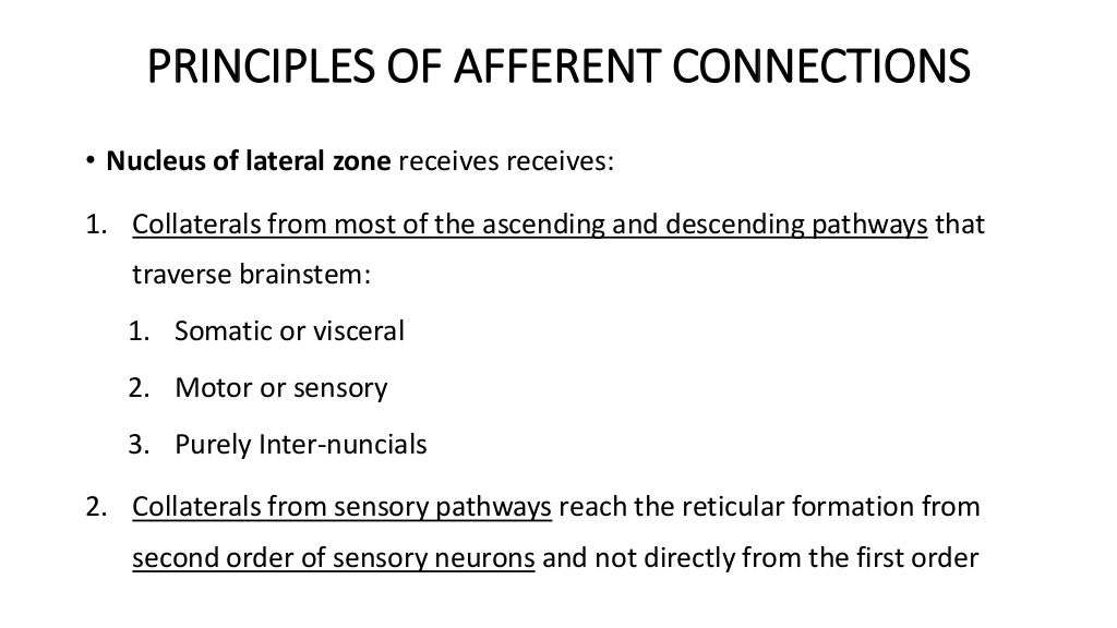 Reticular formation.pptx