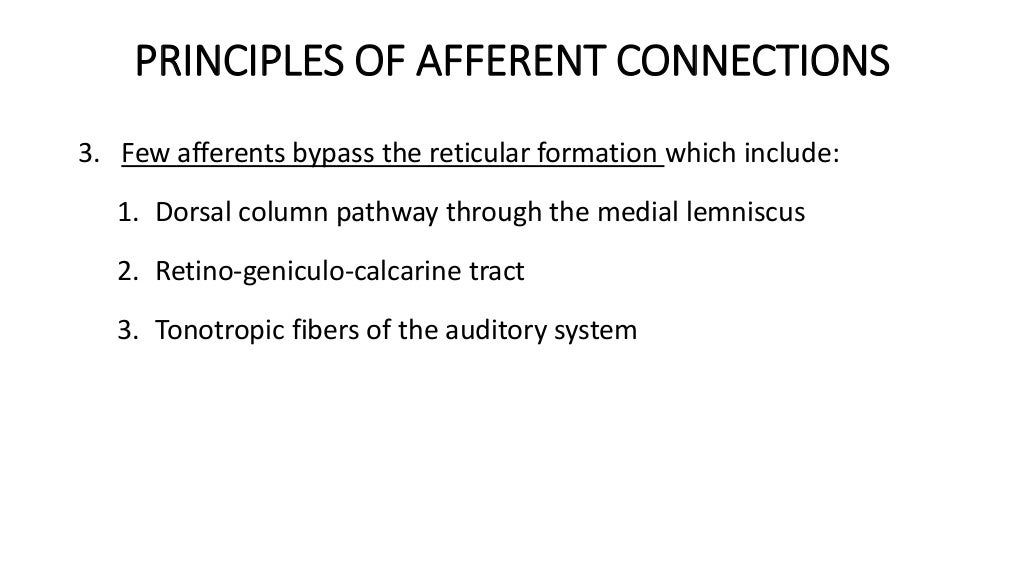 Reticular formation.pptx