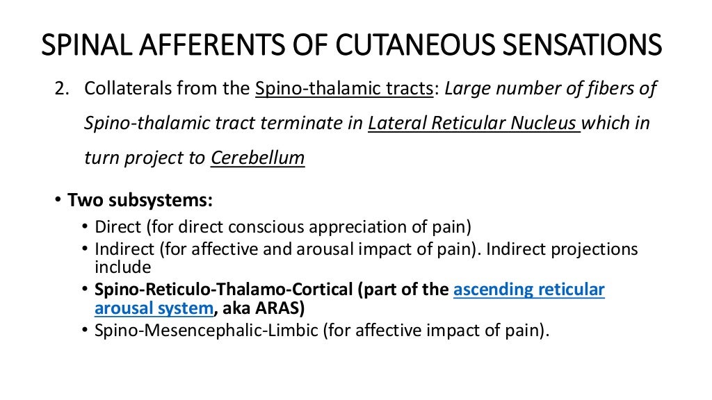 Reticular formation.pptx
