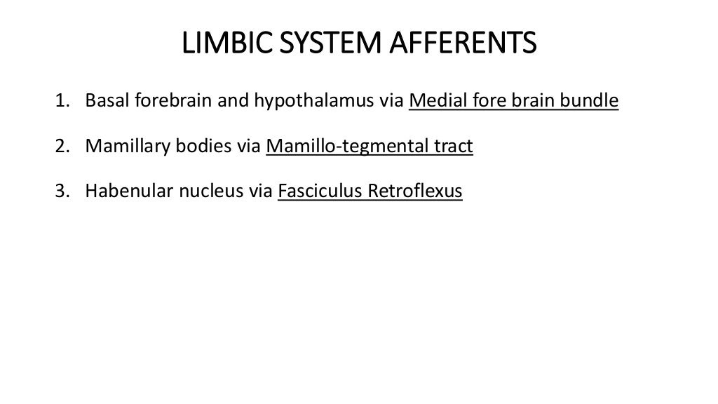 Reticular formation.pptx