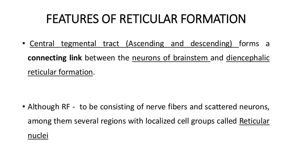 Reticular formation.pptx