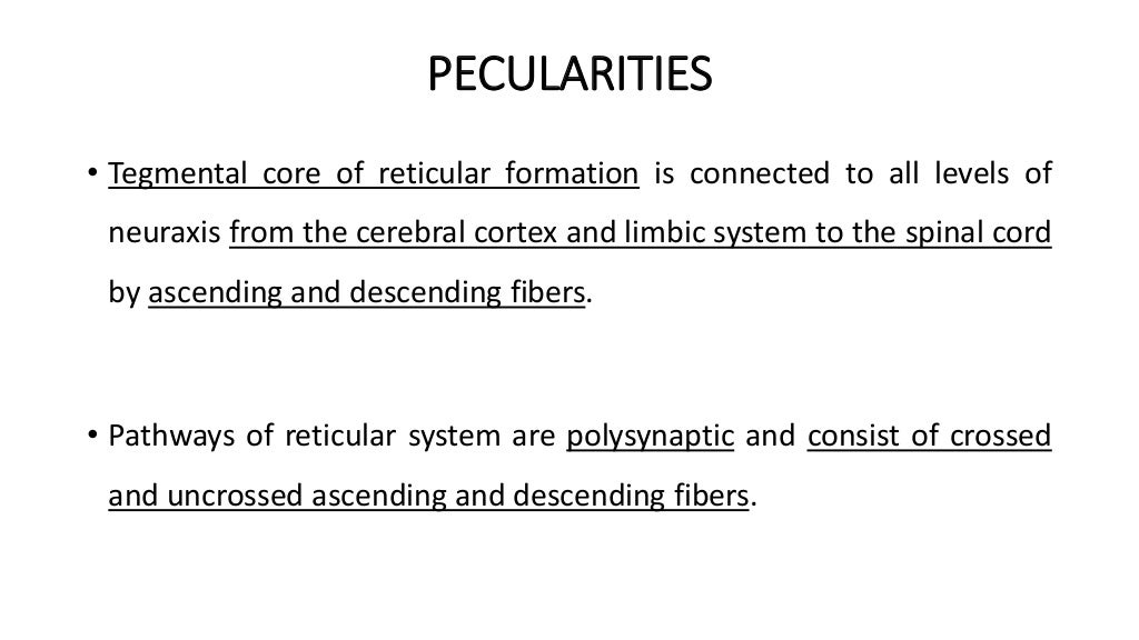 Reticular formation.pptx