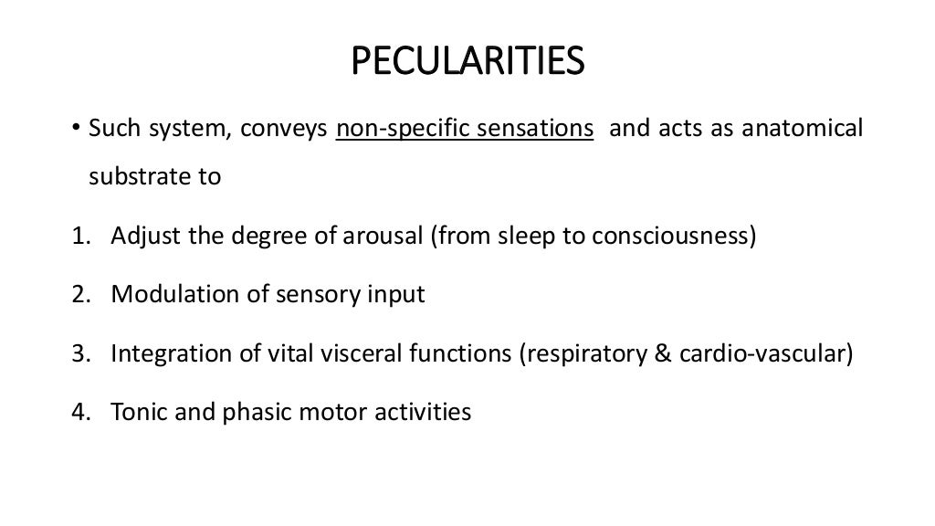 Reticular formation.pptx
