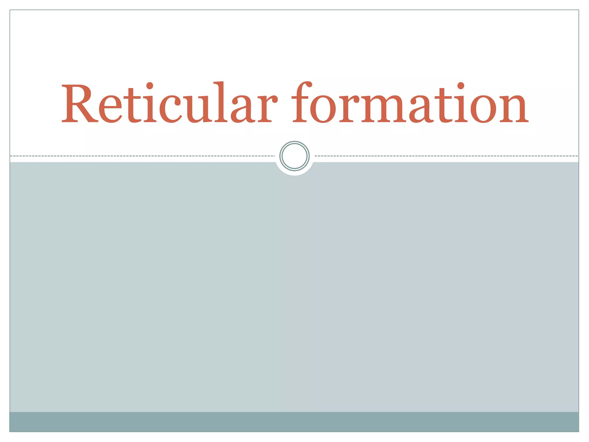 reticular formation.pptx