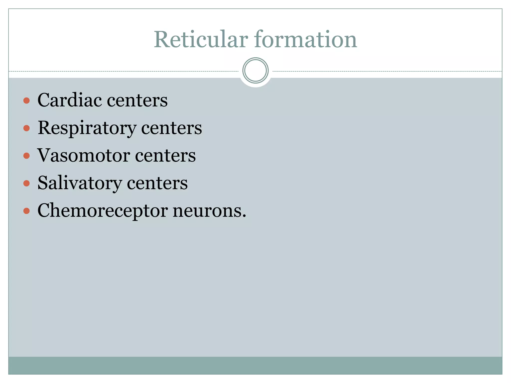 reticular formation.pptx