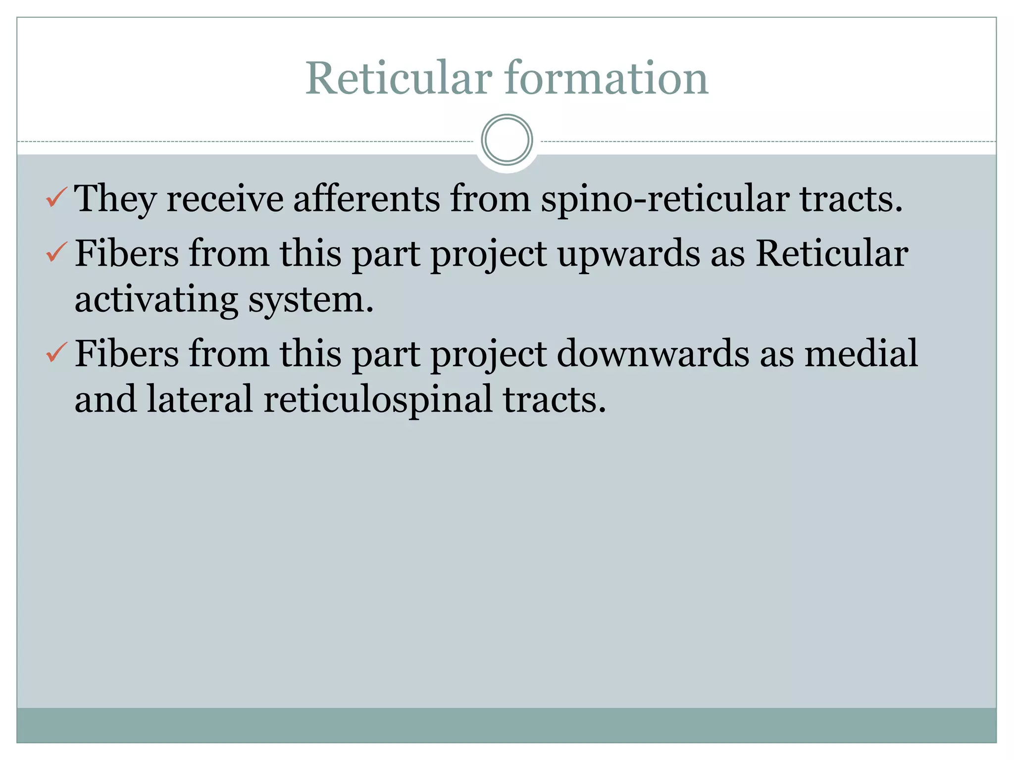 reticular formation.pptx