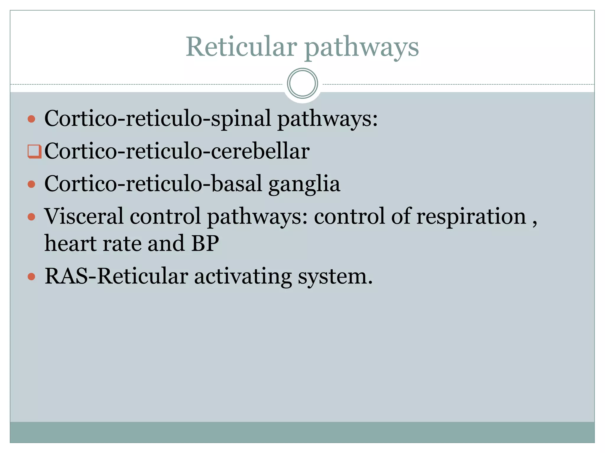 reticular formation.pptx
