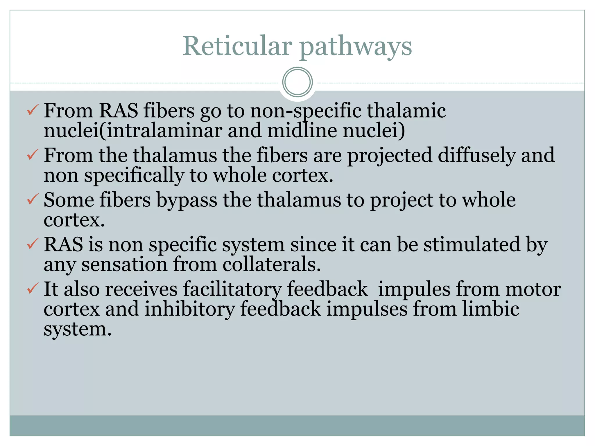 reticular formation.pptx