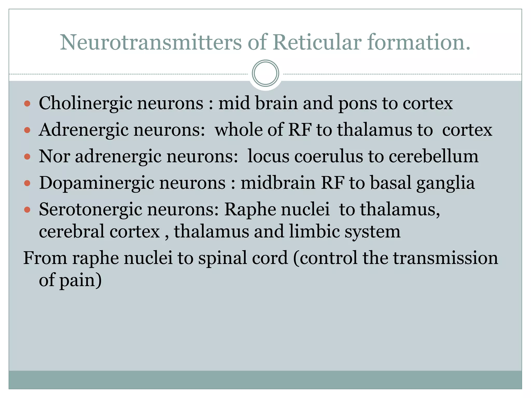 reticular formation.pptx