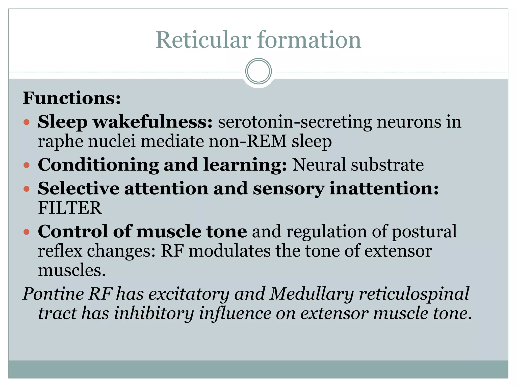 reticular formation.pptx