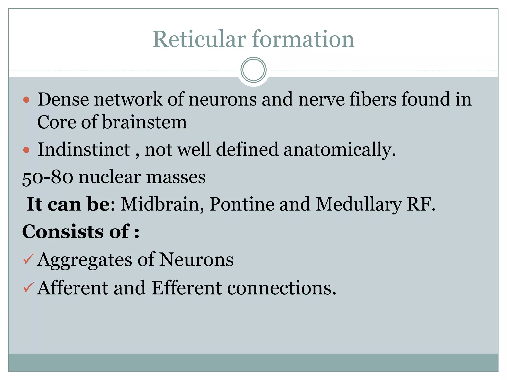 reticular formation.pptx