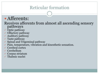 reticular formation.pptx
