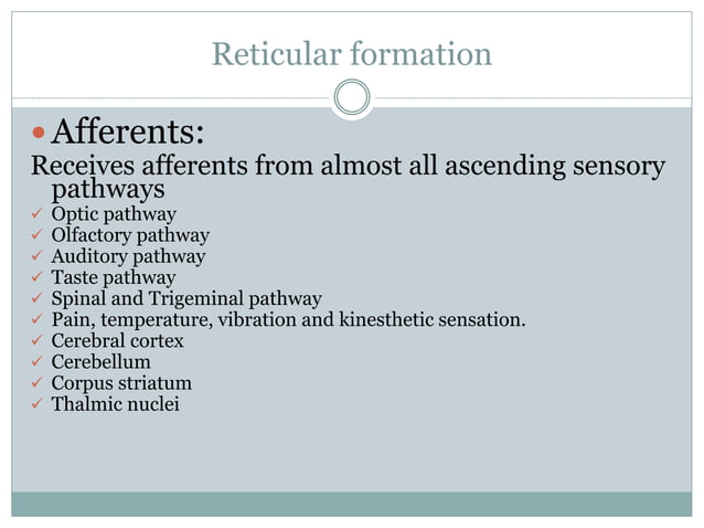 reticular formation.pptx