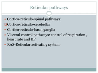 reticular formation.pptx