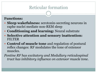 reticular formation.pptx