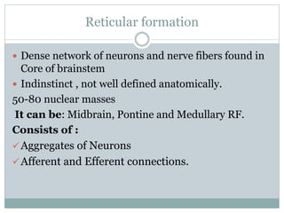 reticular formation.pptx