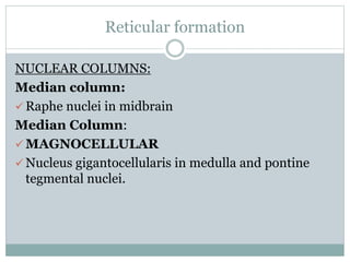 reticular formation.pptx