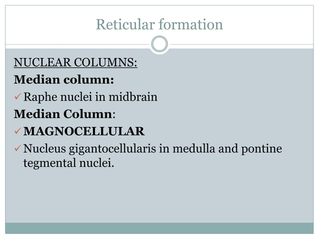 reticular formation.pptx