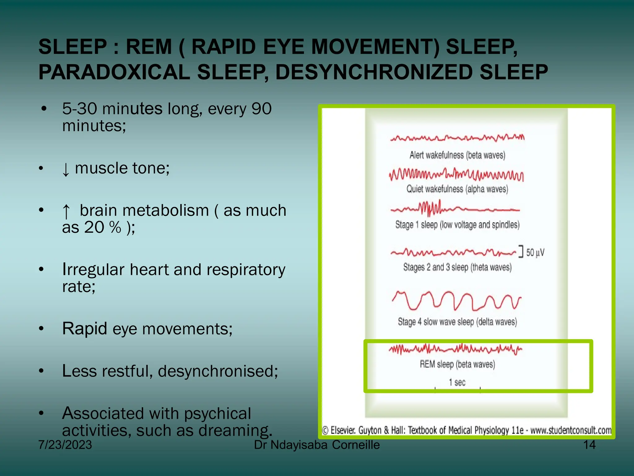 Neurophysiology :-Reticular -formations. | PDF