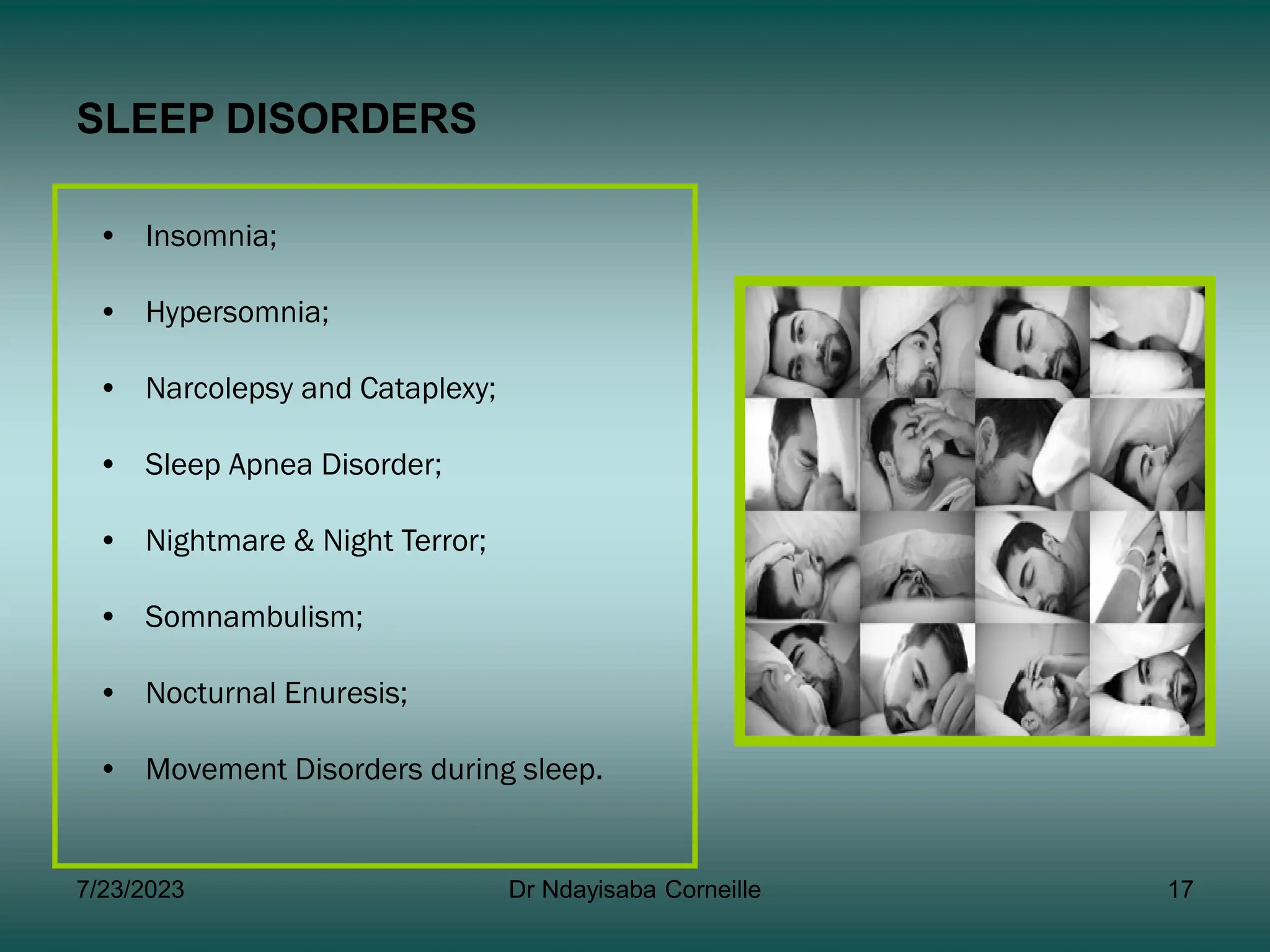 Neurophysiology :-Reticular -formations. | PDF