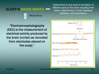 Neurophysiology :-Reticular -formations. | PDF