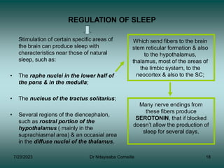 Neurophysiology :-Reticular -formations. | PDF