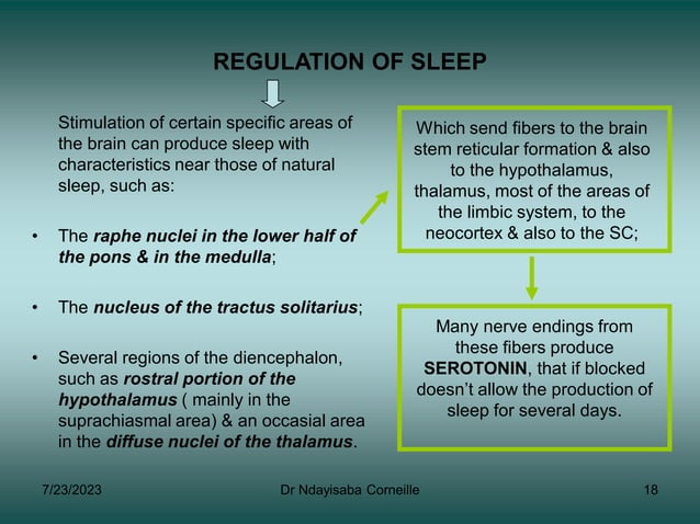 Neurophysiology :-Reticular -formations. | PDF
