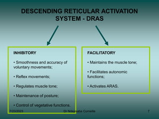 Neurophysiology :-Reticular -formations. | PDF