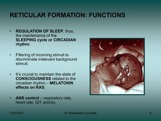 Neurophysiology :-Reticular -formations. | PDF