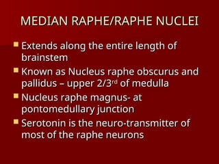 RETICULAR FORMATION.ppt okkkkkkkkkkkkkkkkkk | PPT