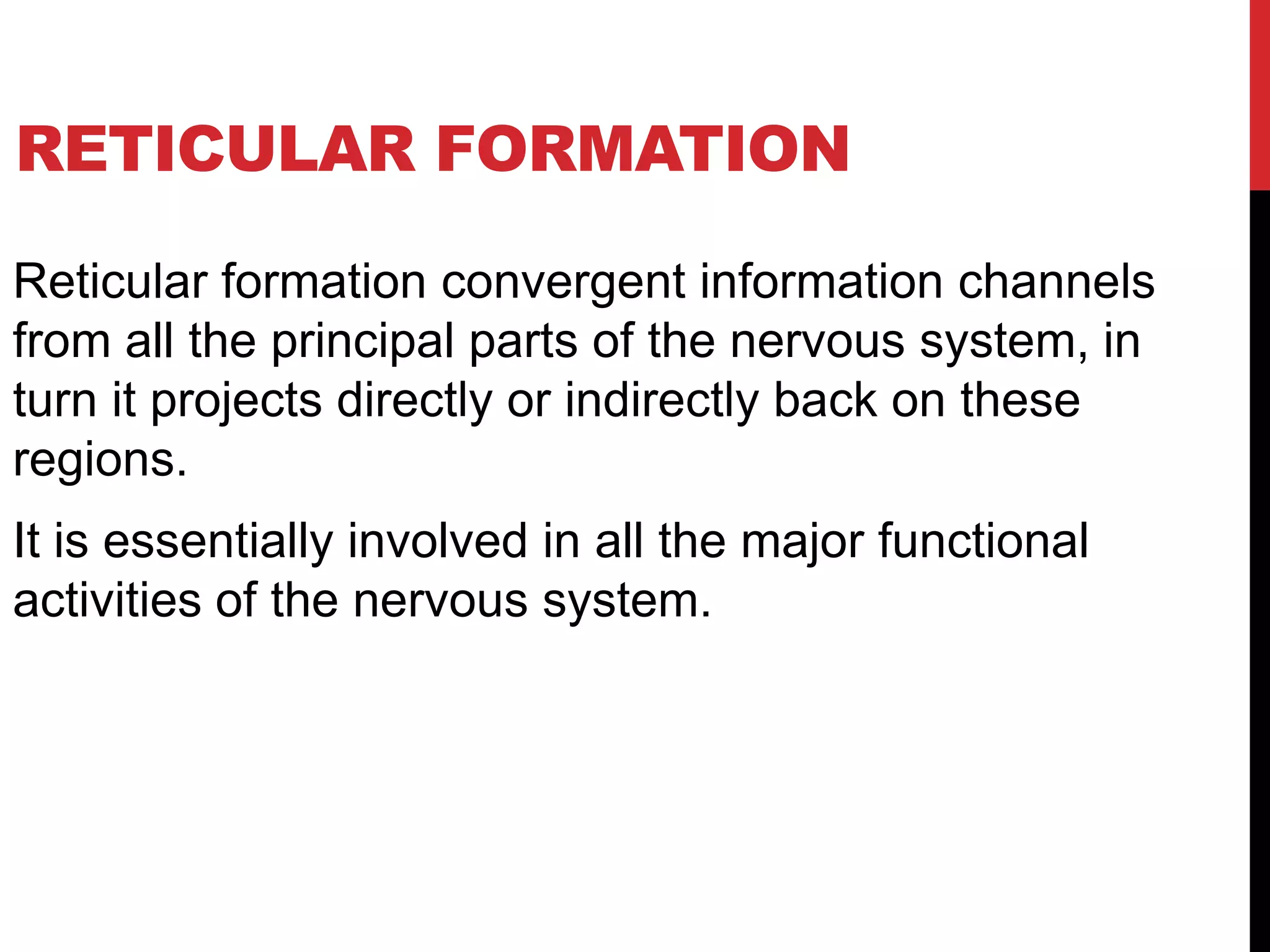 Reticular formation in control of motor functions | PPTX | Brain and ...
