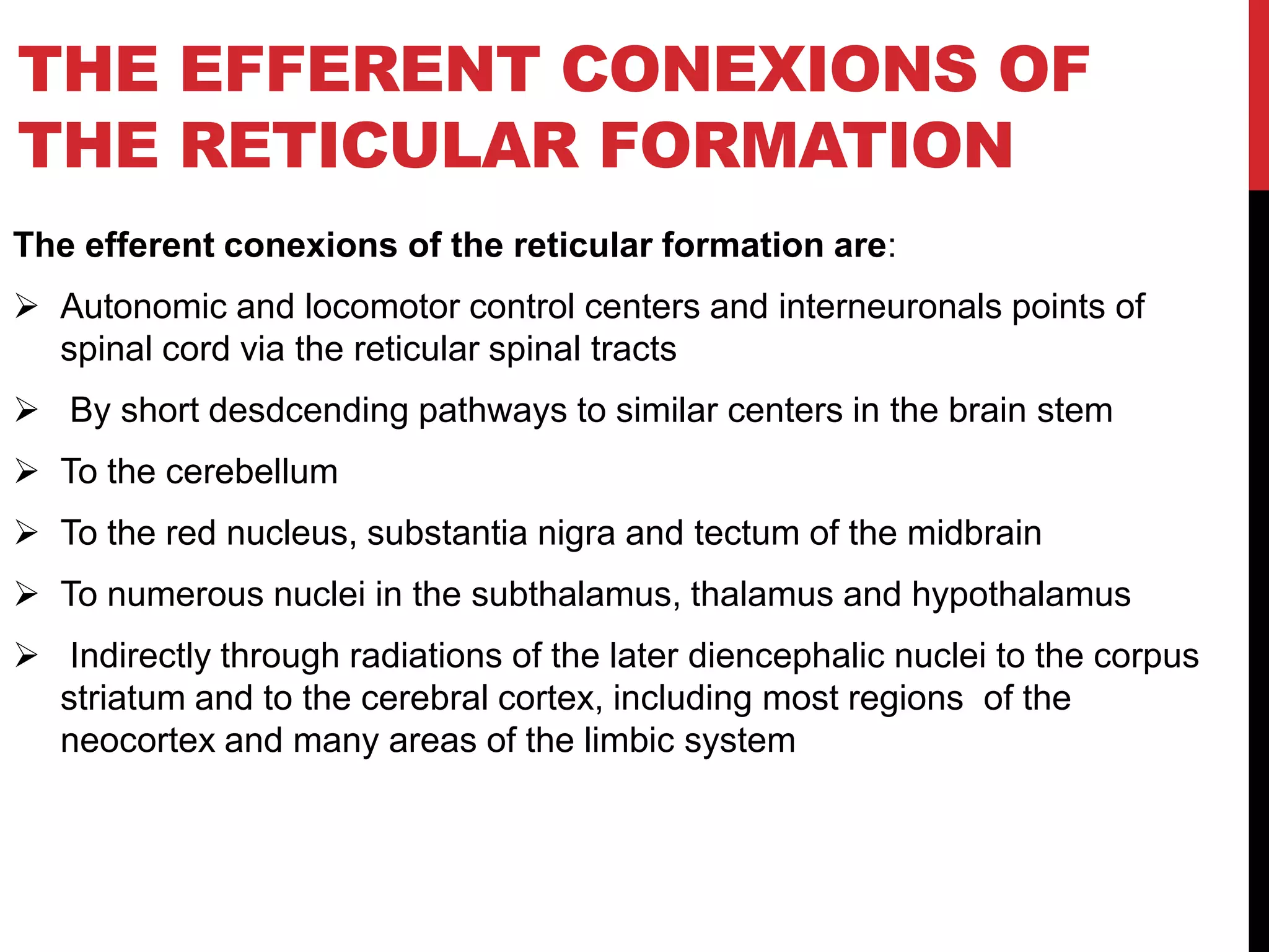 Reticular formation in control of motor functions | PPTX | Brain and ...