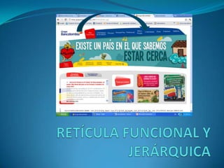 Reticulas | PPTX