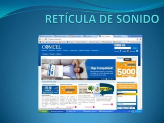 Reticulas | PPTX