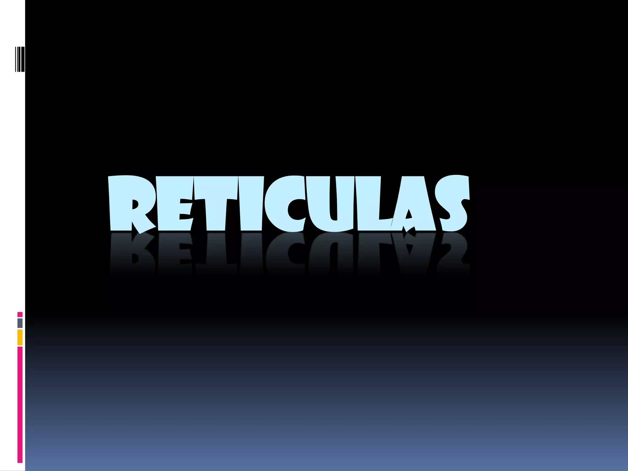 Reticulas | PPTX