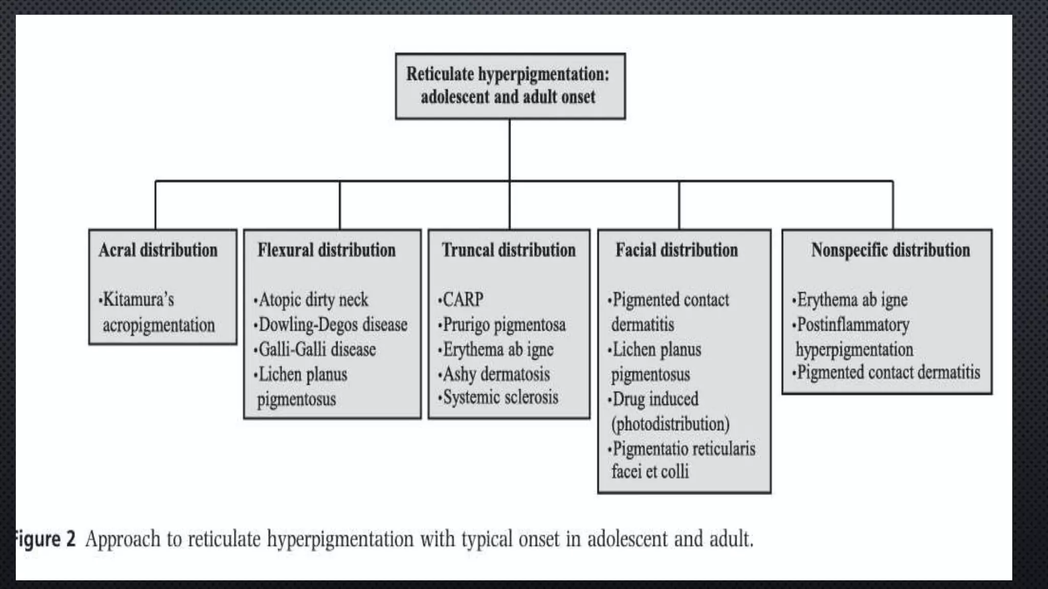 Reticulate Pigmentary disorders.pptx