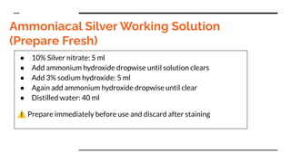 Reticulin Stain (Gordon & Sweet Method) | Special Stain in ...