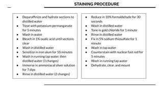 Reticulin Stain (Gordon & Sweet Method) | Special Stain in ...