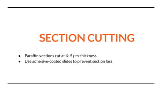 Reticulin Stain (Gordon & Sweet Method) | Special Stain in ...
